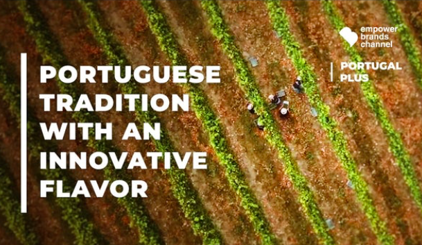 New Episode of "Portugal Plus" Features Prof. Ana Brochado (Iscte ...